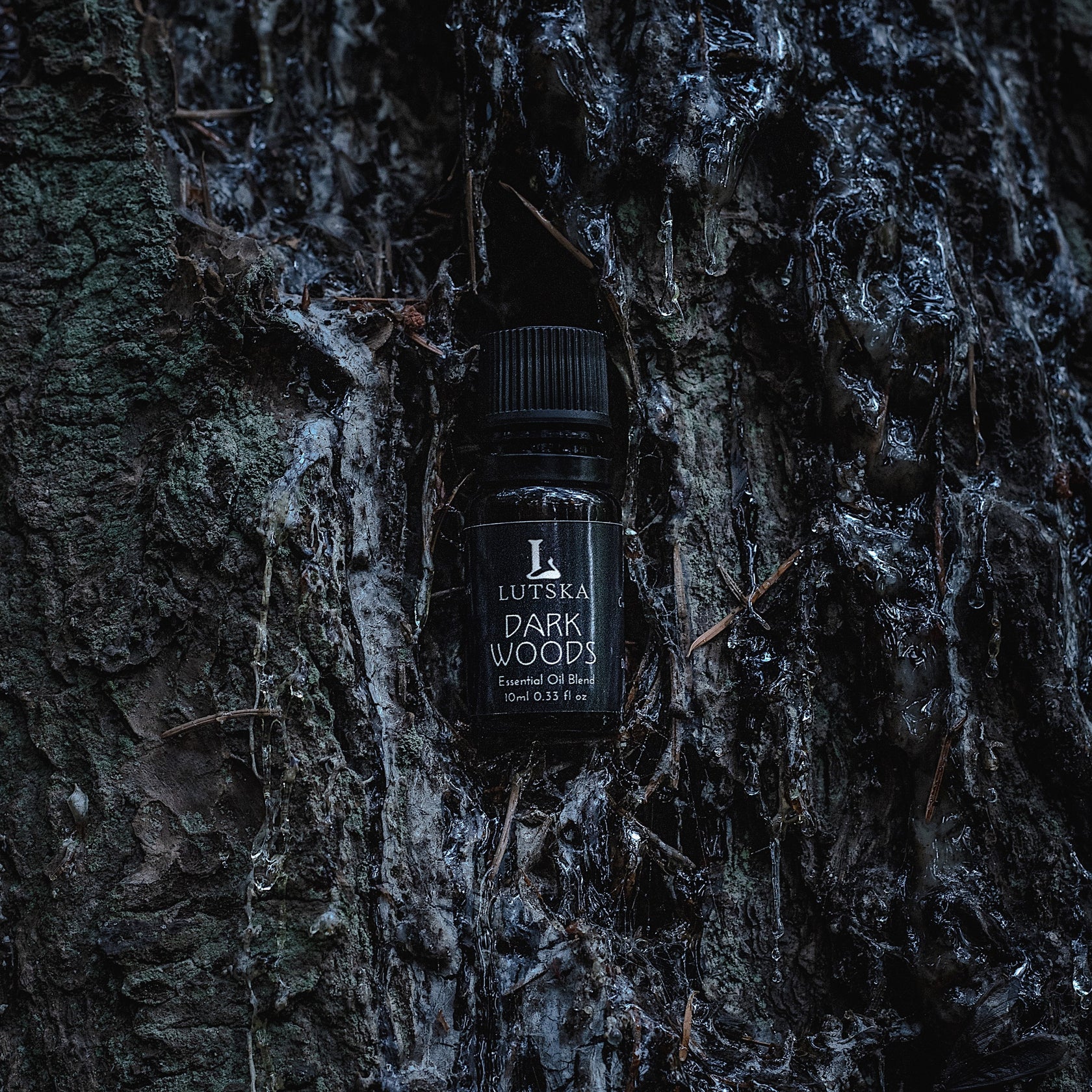 Forest Essential Oil Blend - Darkwoods - Made in Canada. – Lutska Botanica